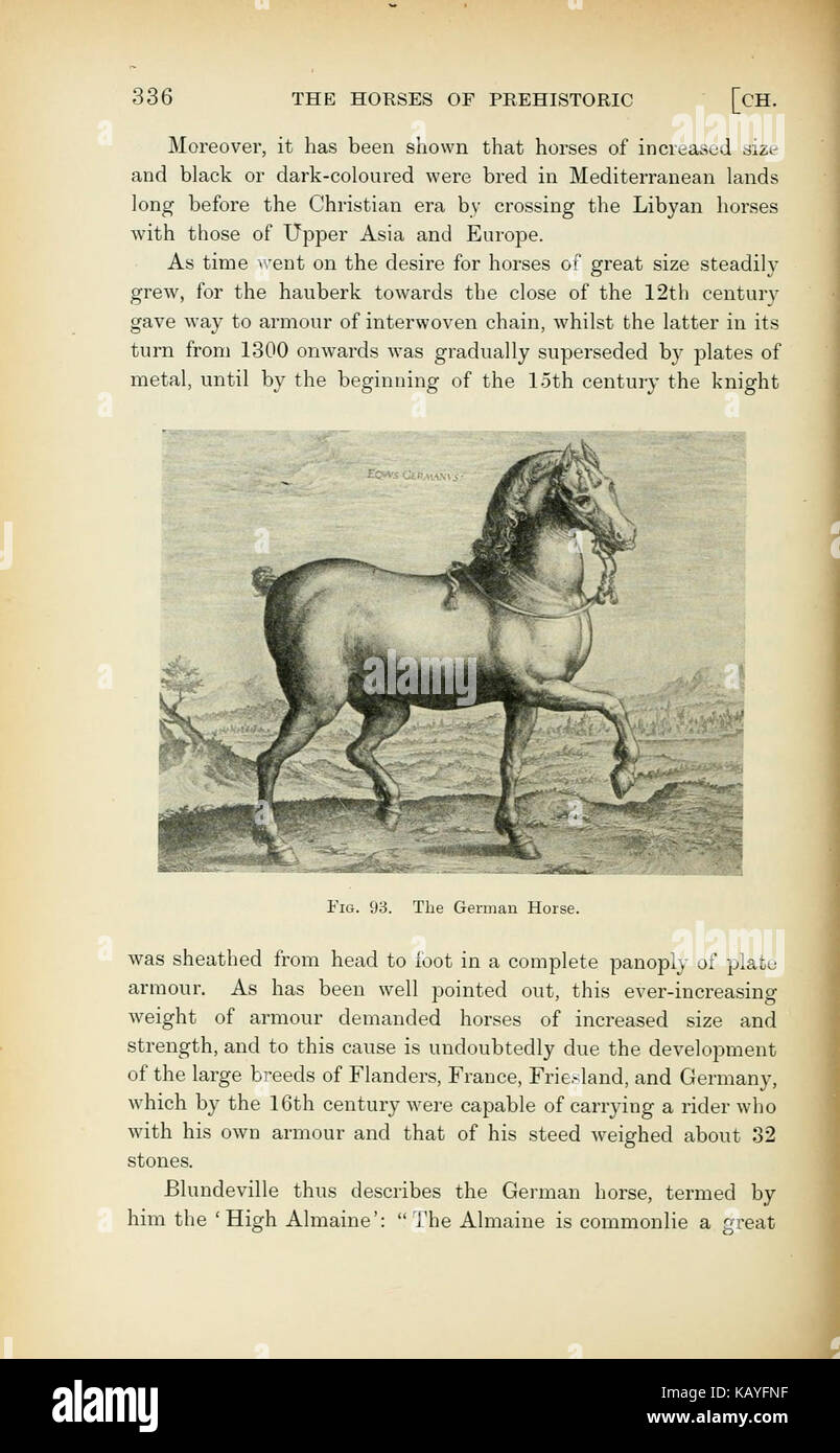 The origin and influence of the thoroughbred horse (Page 336 ...