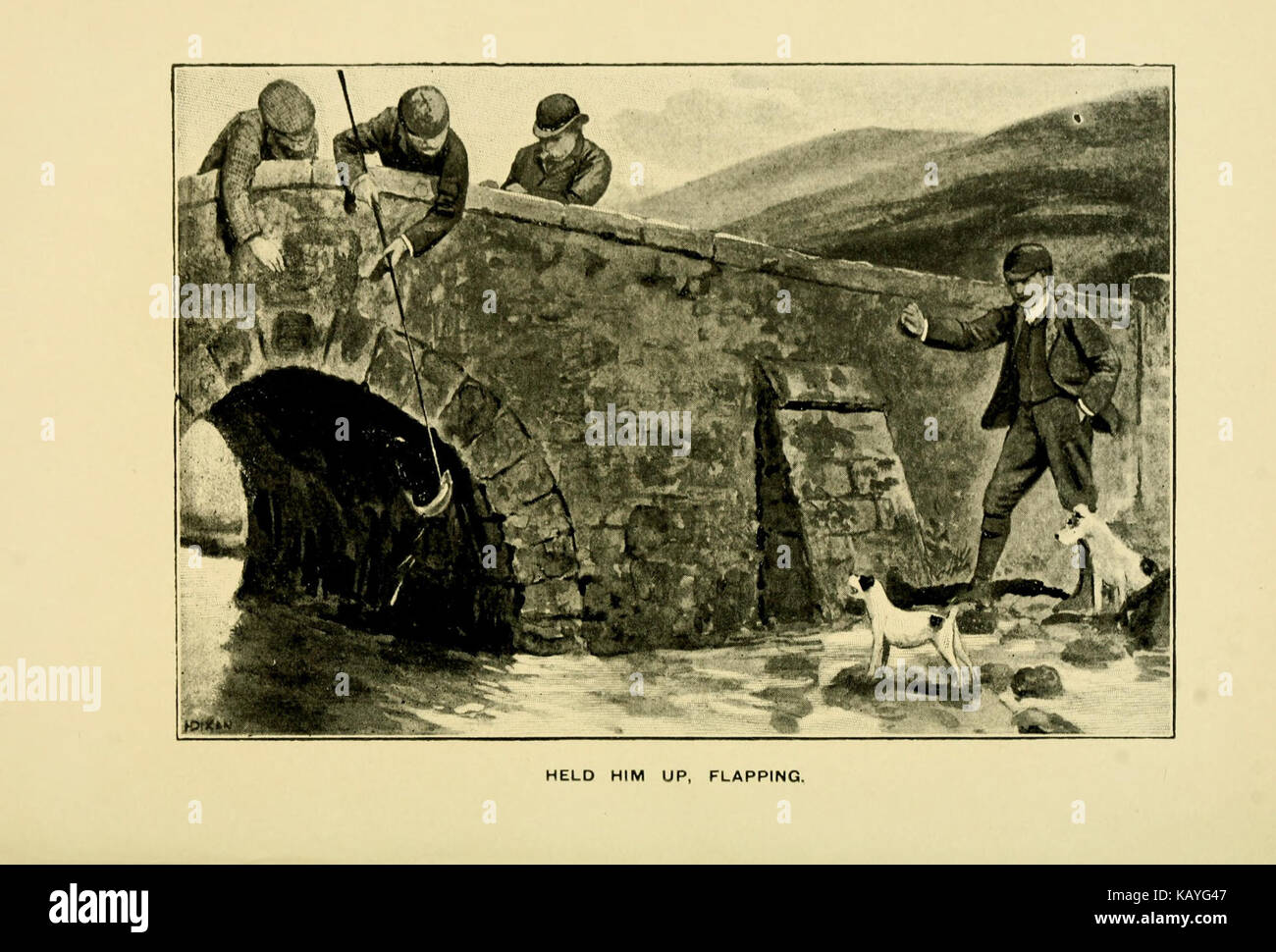 Water snaffle hi-res stock photography and images - Alamy