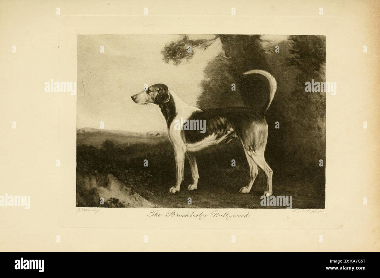 Frank gillard hi-res stock photography and images - Alamy