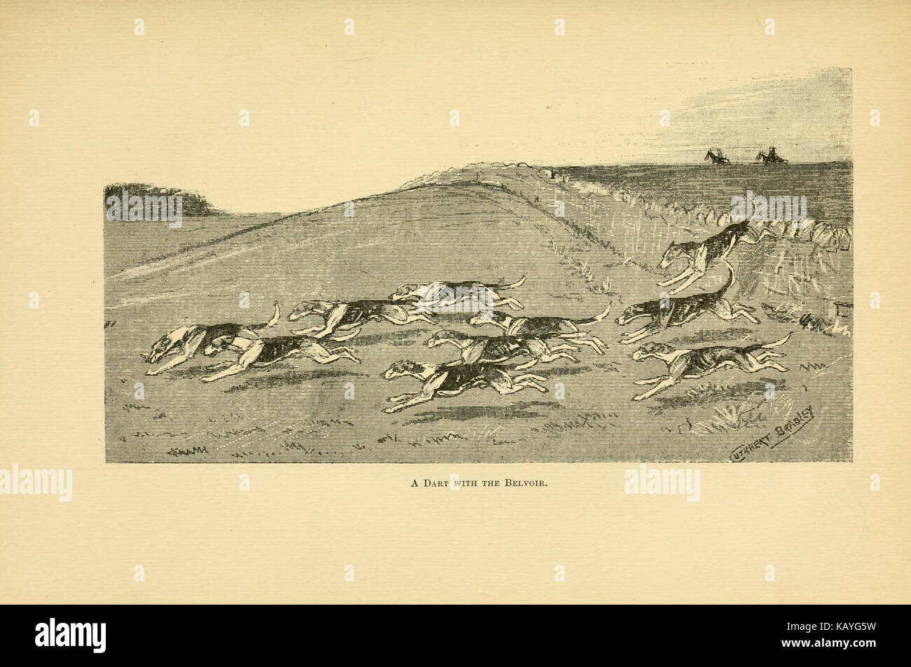 Frank Gillard High Resolution Stock Photography and Images - Alamy