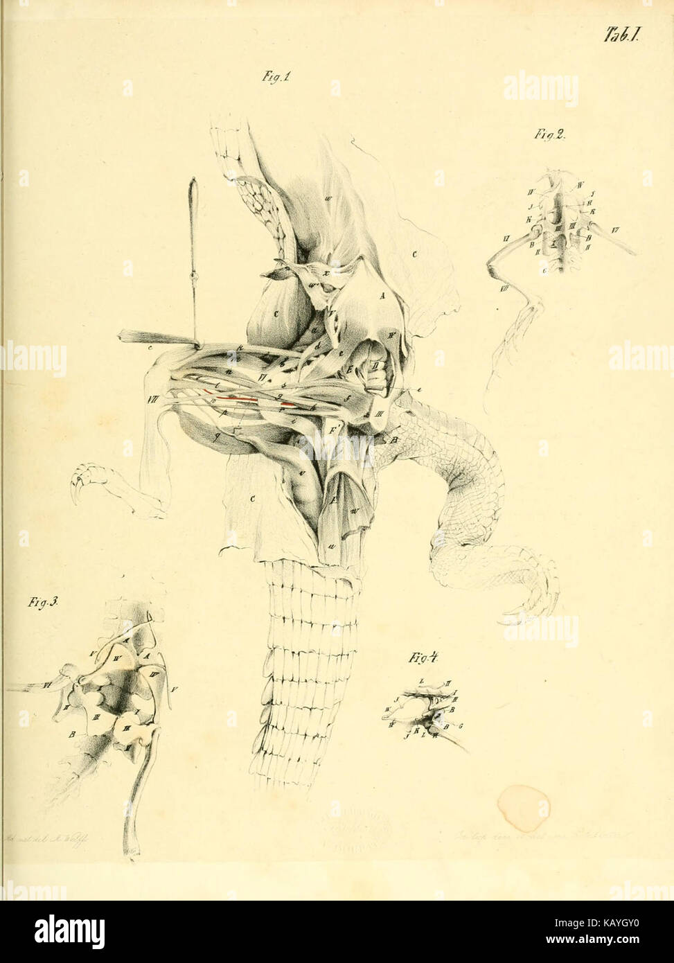 Vintage becken hi-res stock photography and images - Alamy