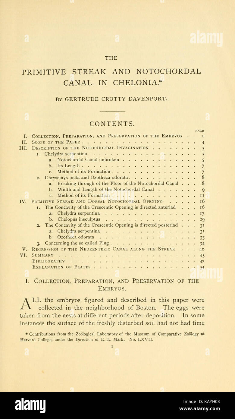 The primitive streak and notochordal canal in Chelonia (Page 1, Text ...