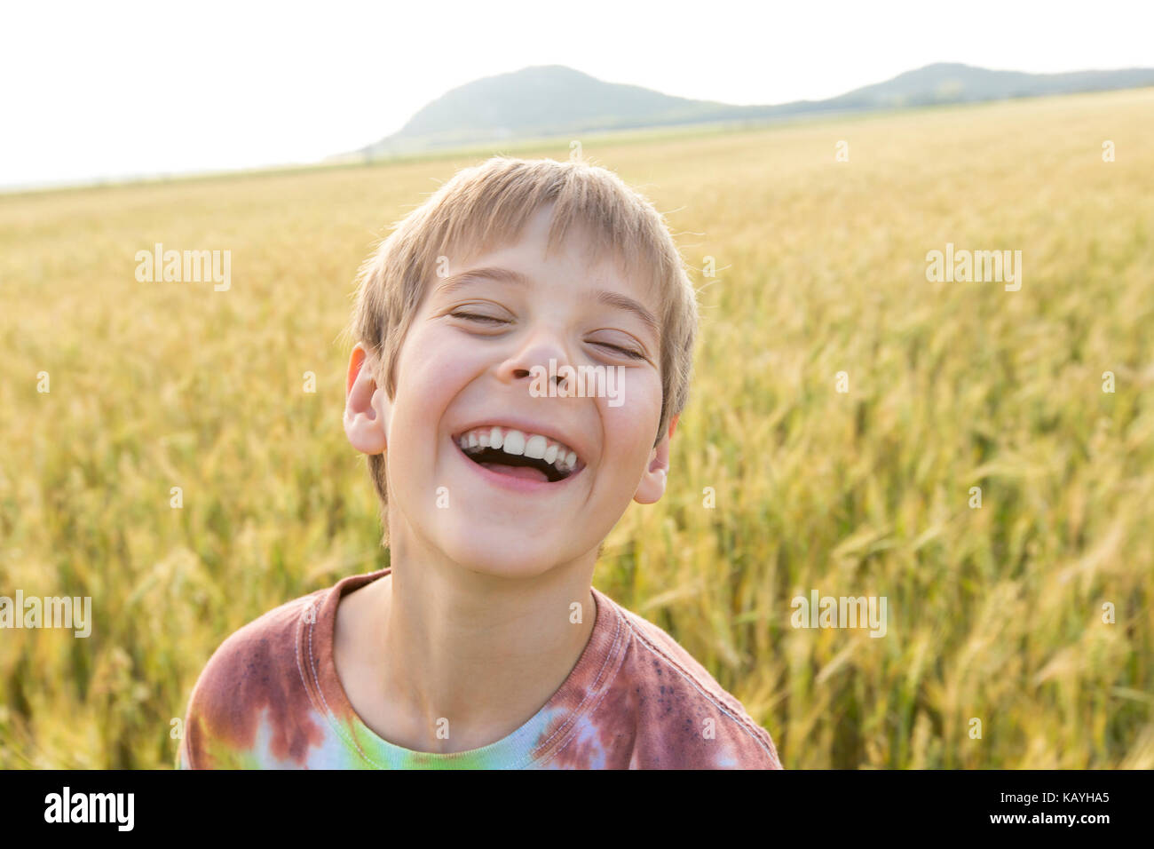 Adorable little boy playing in the wheat field on a warm summer day ...