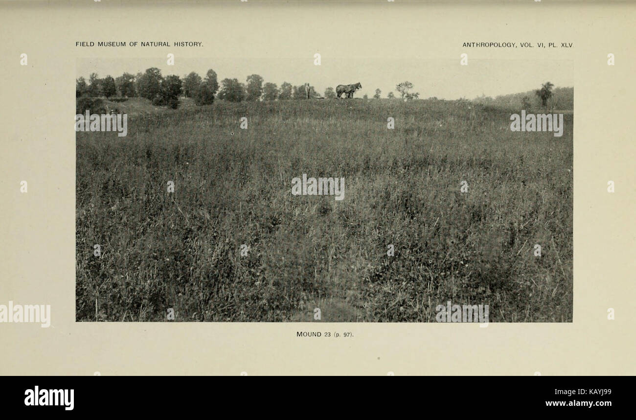 The Hopewell Mound Group in Ohio is an archaeological site known for ...