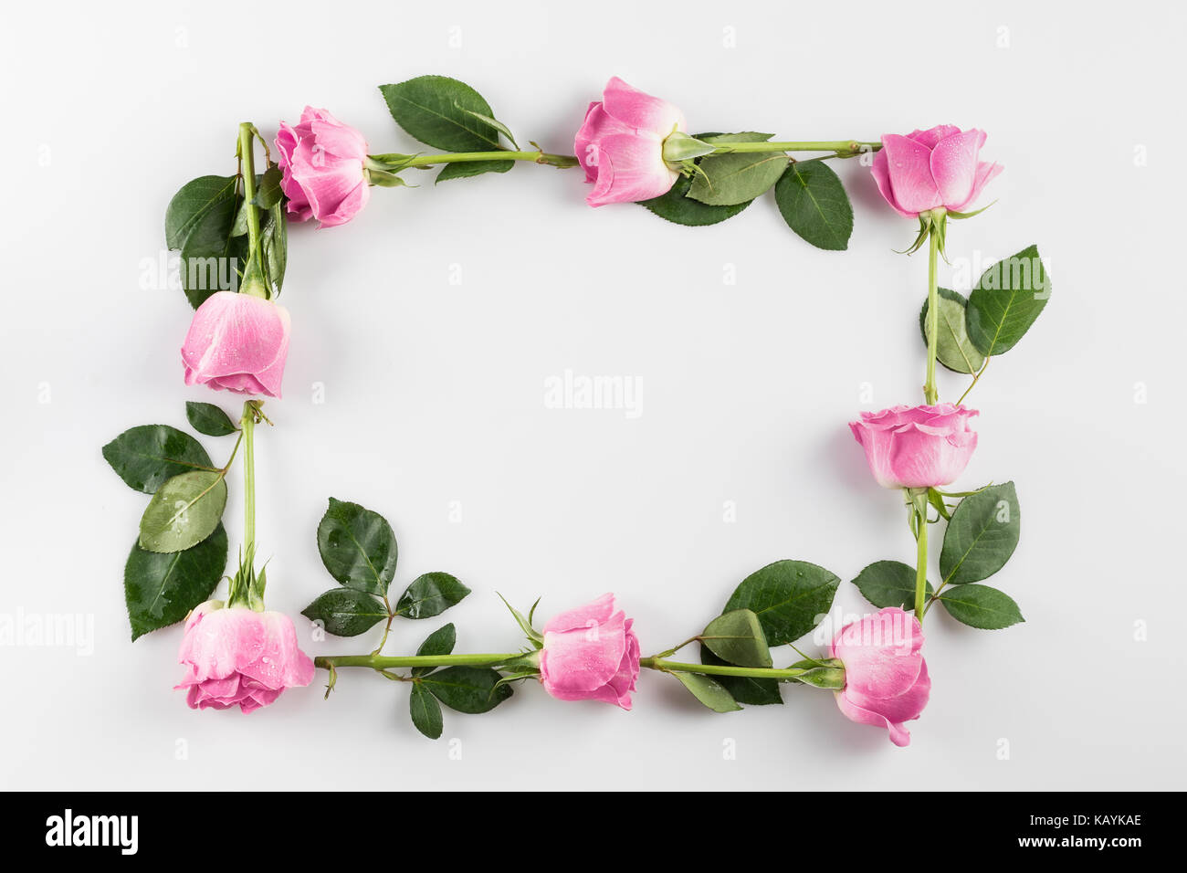 frame with pink roses Stock Photo - Alamy