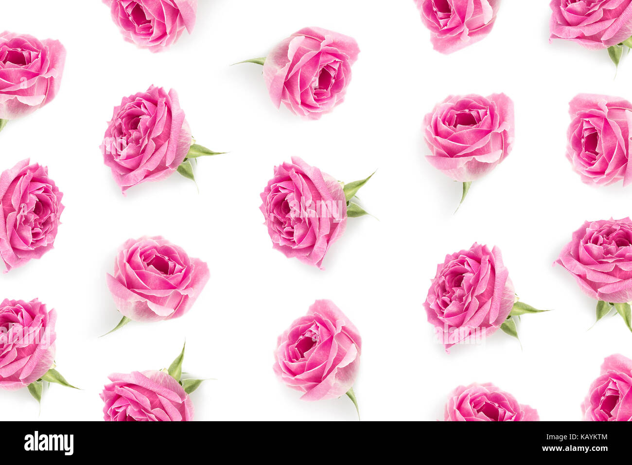 pink roses background Stock Photo - Alamy