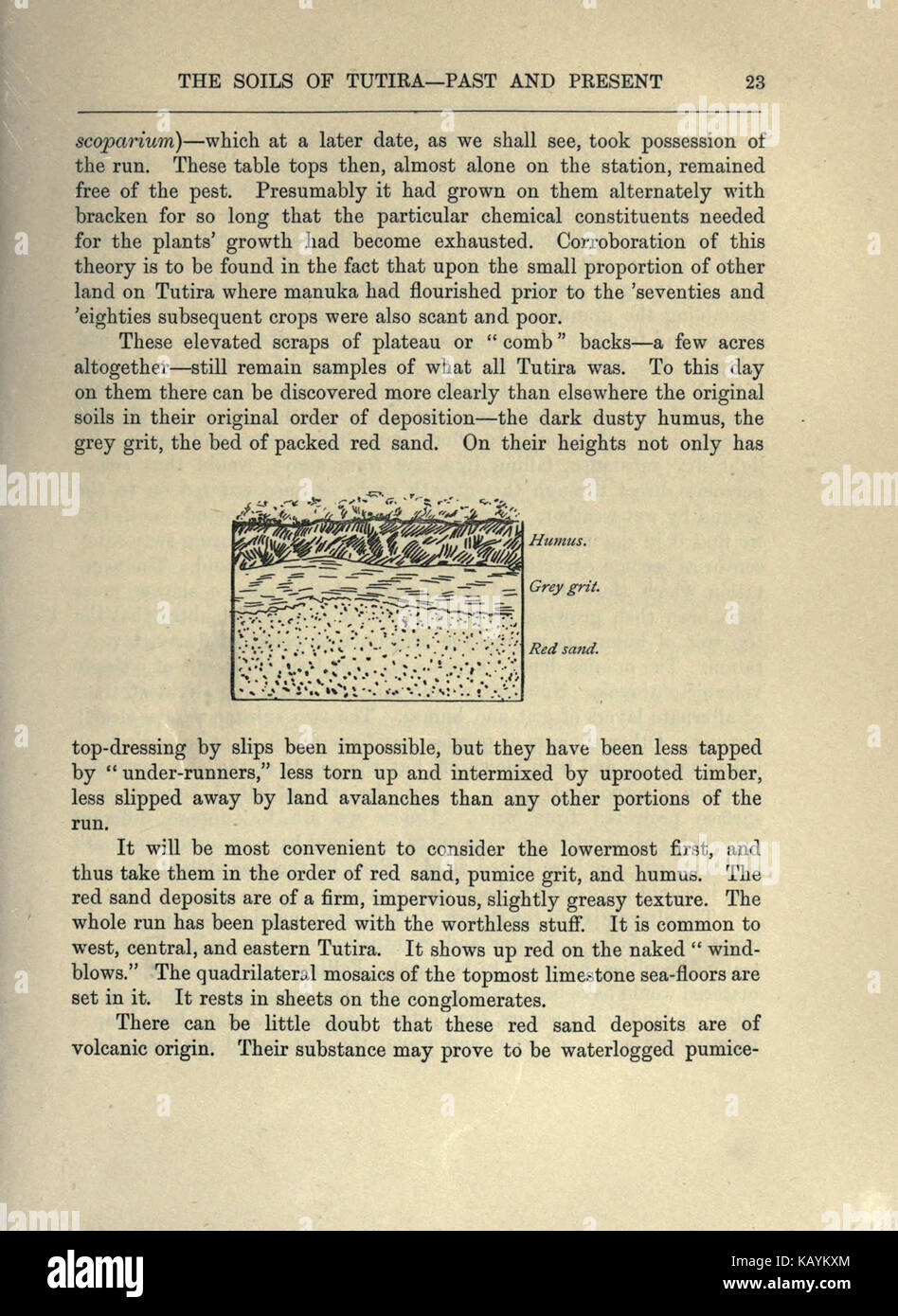 History book page hi-res stock photography and images - Alamy