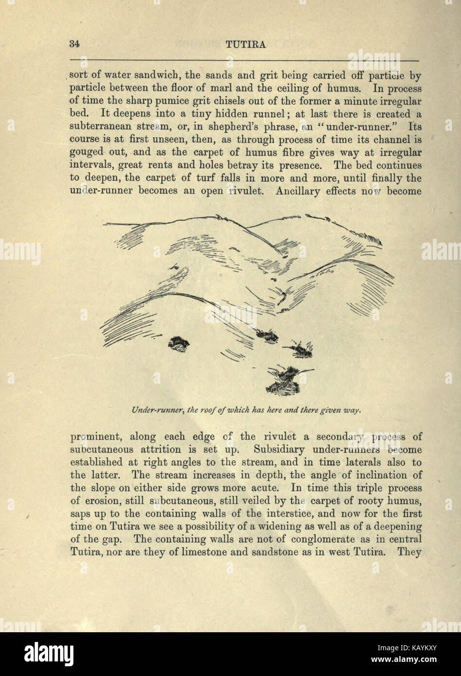 An illustration from the book 'Tutira', showing an important scene or ...