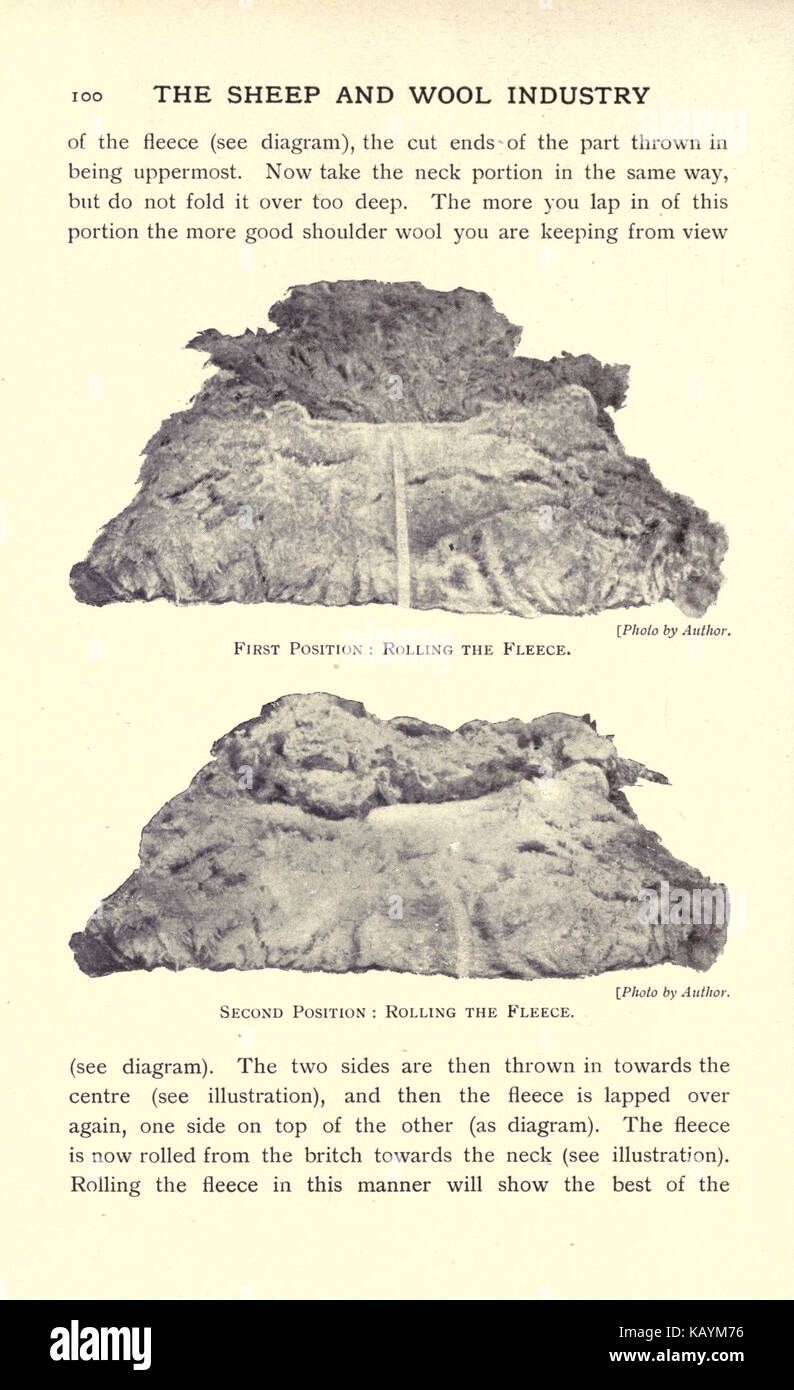 The sheep and wool industry of Australasia (Page 100) BHL20150210 Stock ...