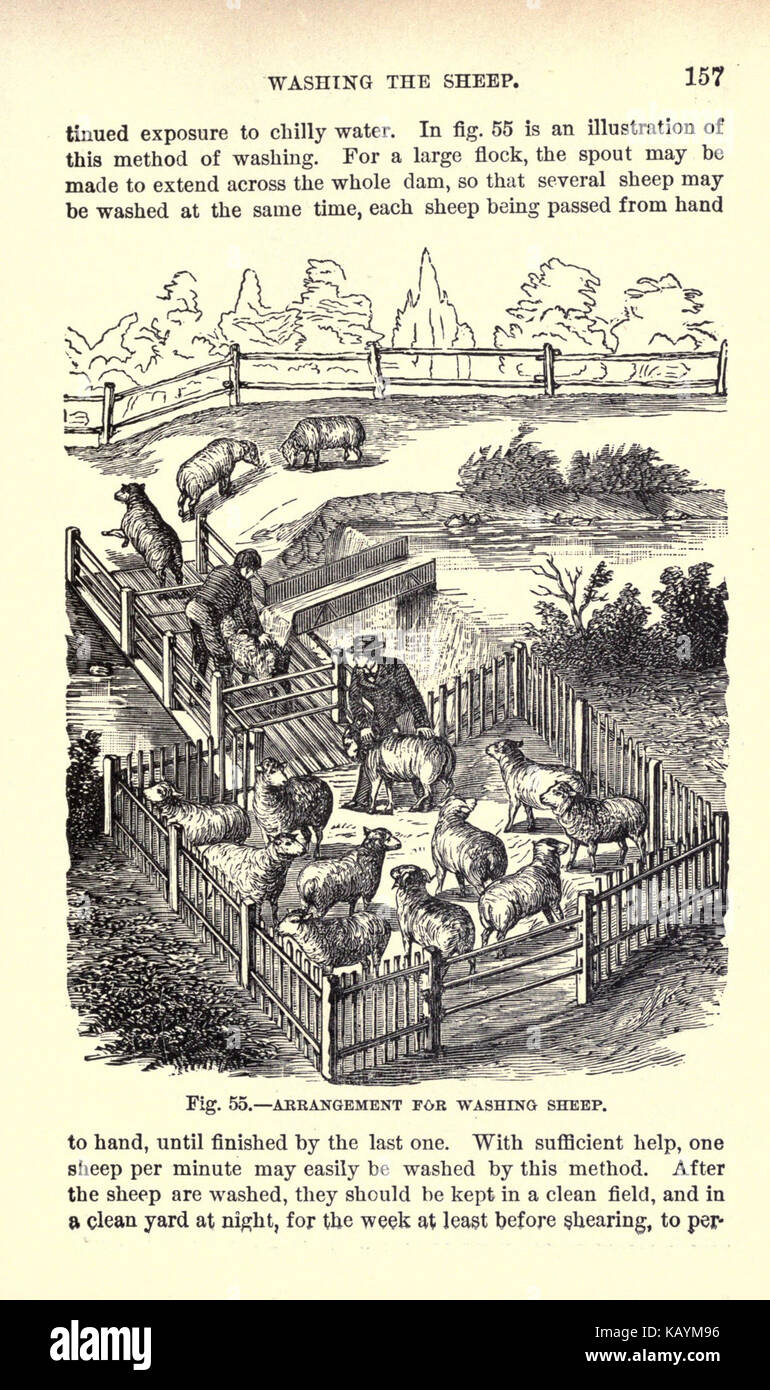 The shepherd's manual (Page 157) BHL21782956 Stock Photo - Alamy