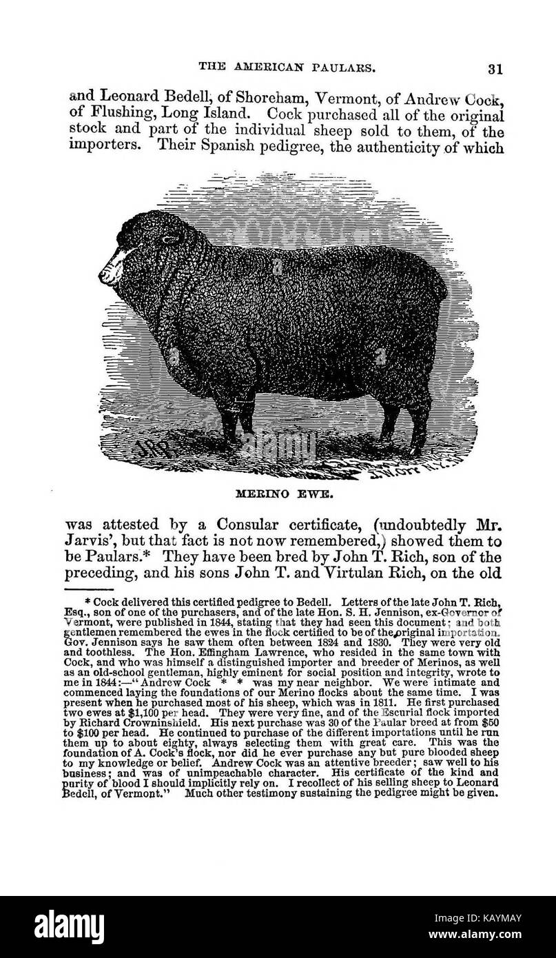 Practical life Black and White Stock Photos & Images - Alamy