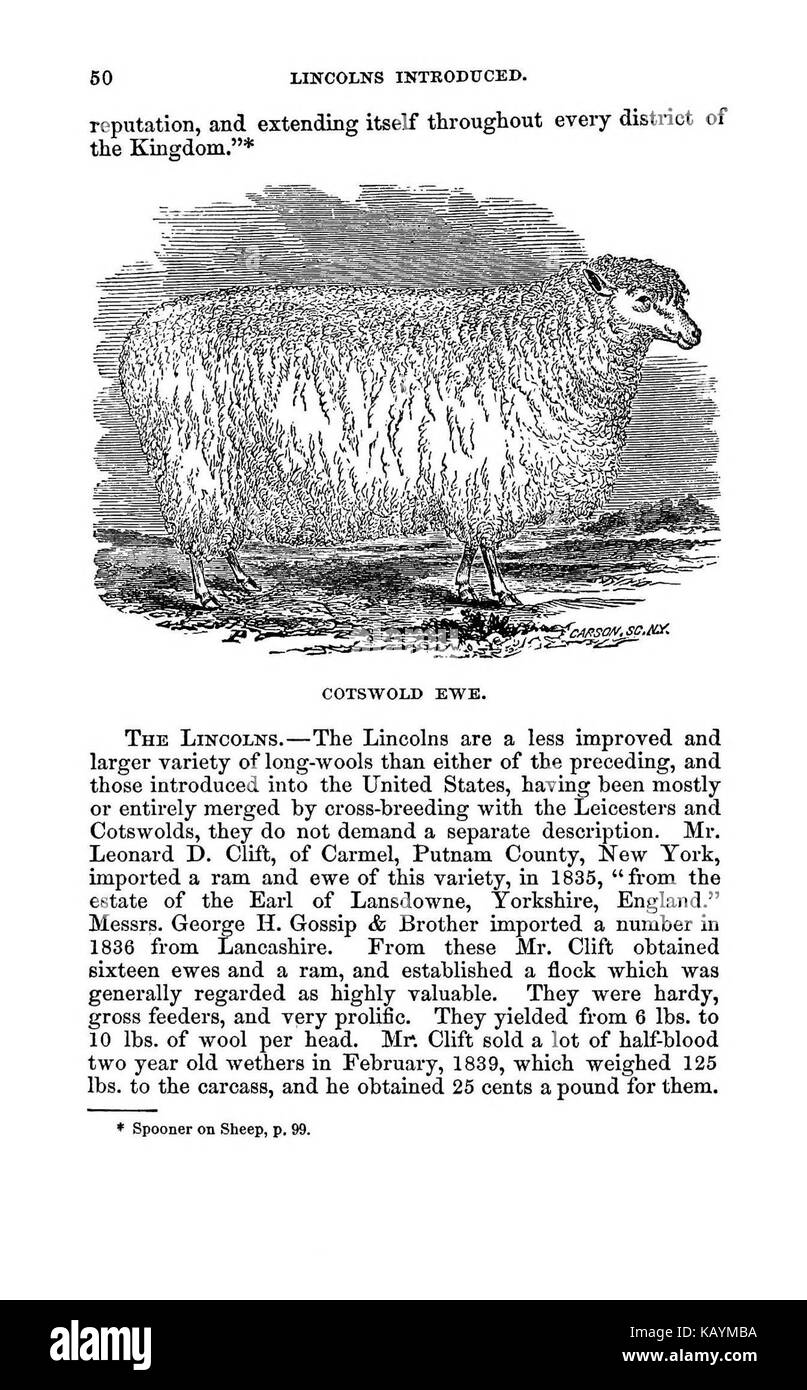 This work, 'The Practical Shepherd,' likely discusses techniques and ...