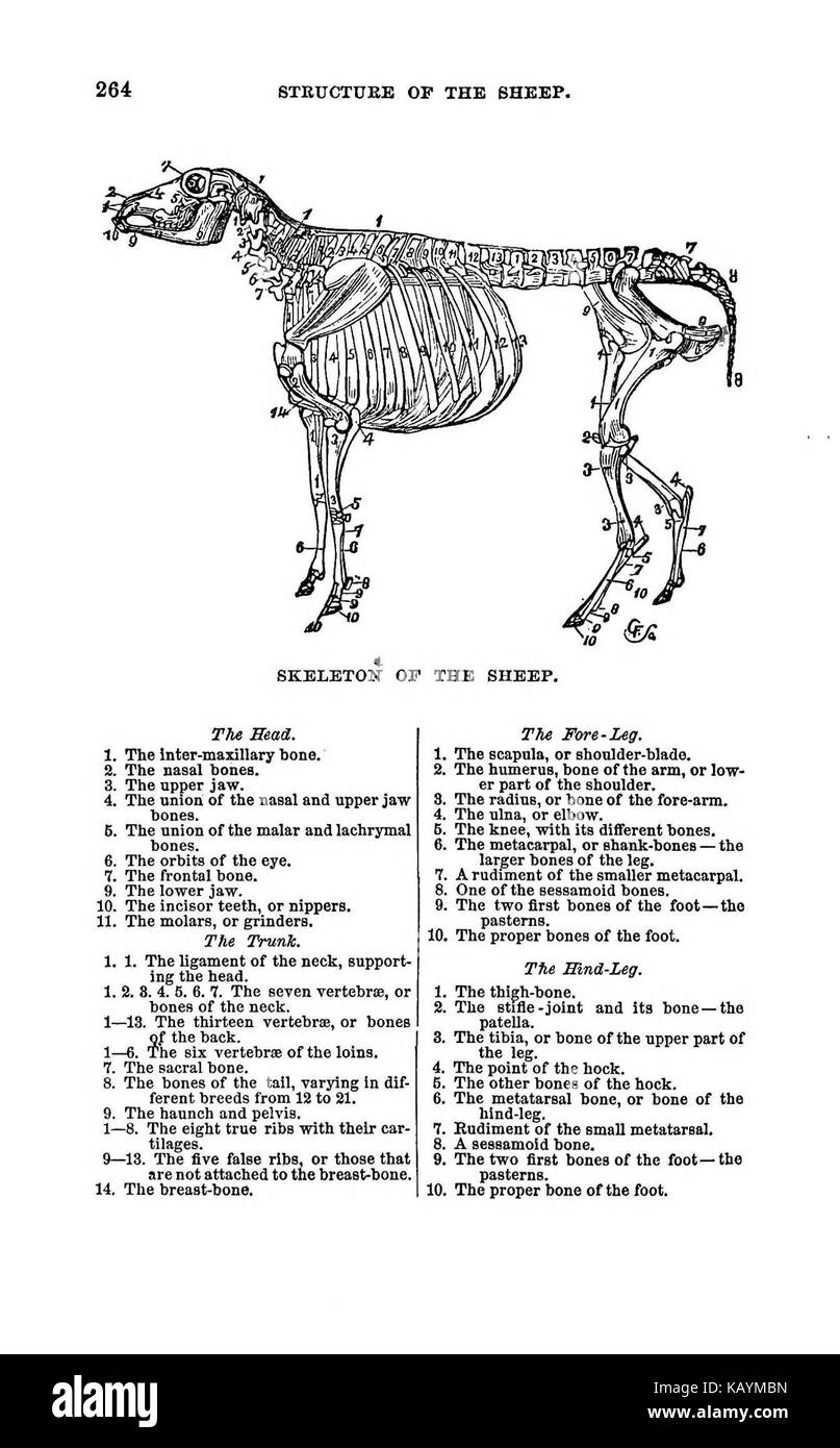 Practical life Black and White Stock Photos & Images - Alamy