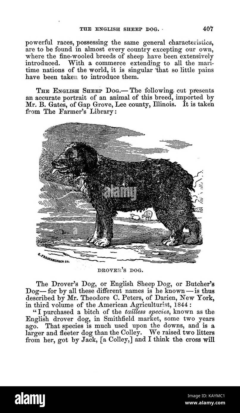 Disease animals agriculture Cut Out Stock Images & Pictures - Alamy