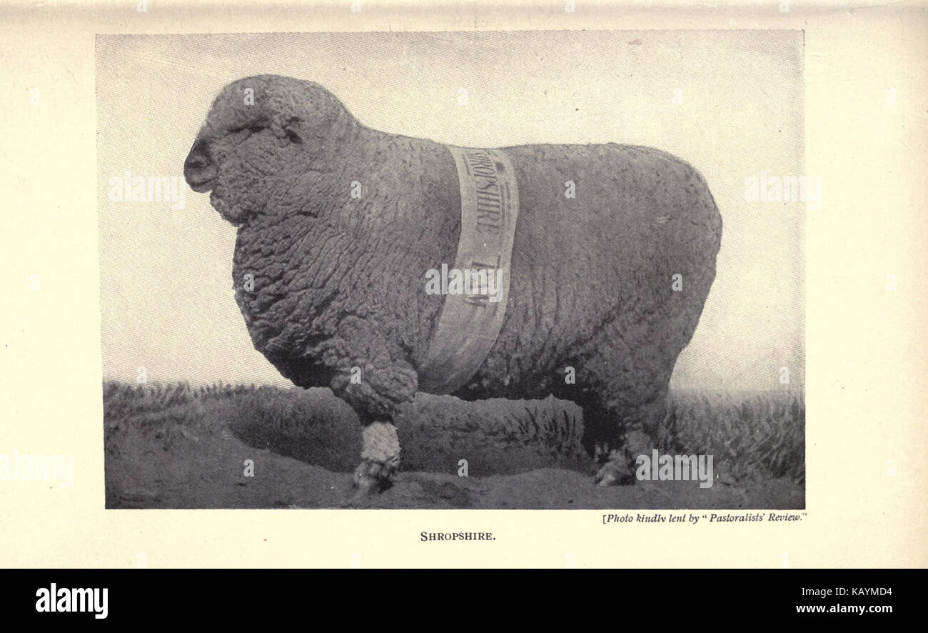 This page from 'The Sheep and Wool Industry of Australasia' provides ...