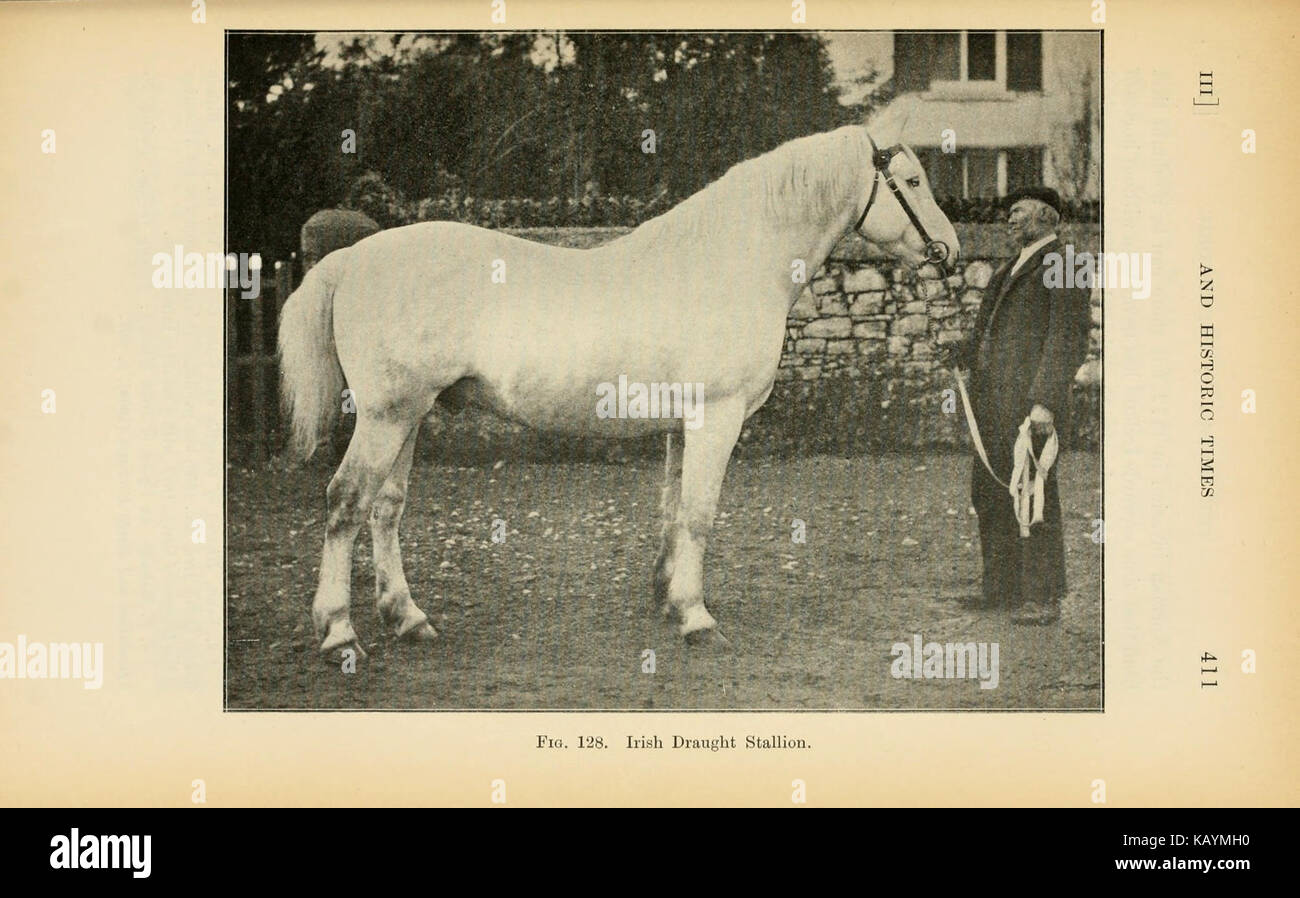 This page from 'The Origin and Influence of the Thoroughbred Horse ...