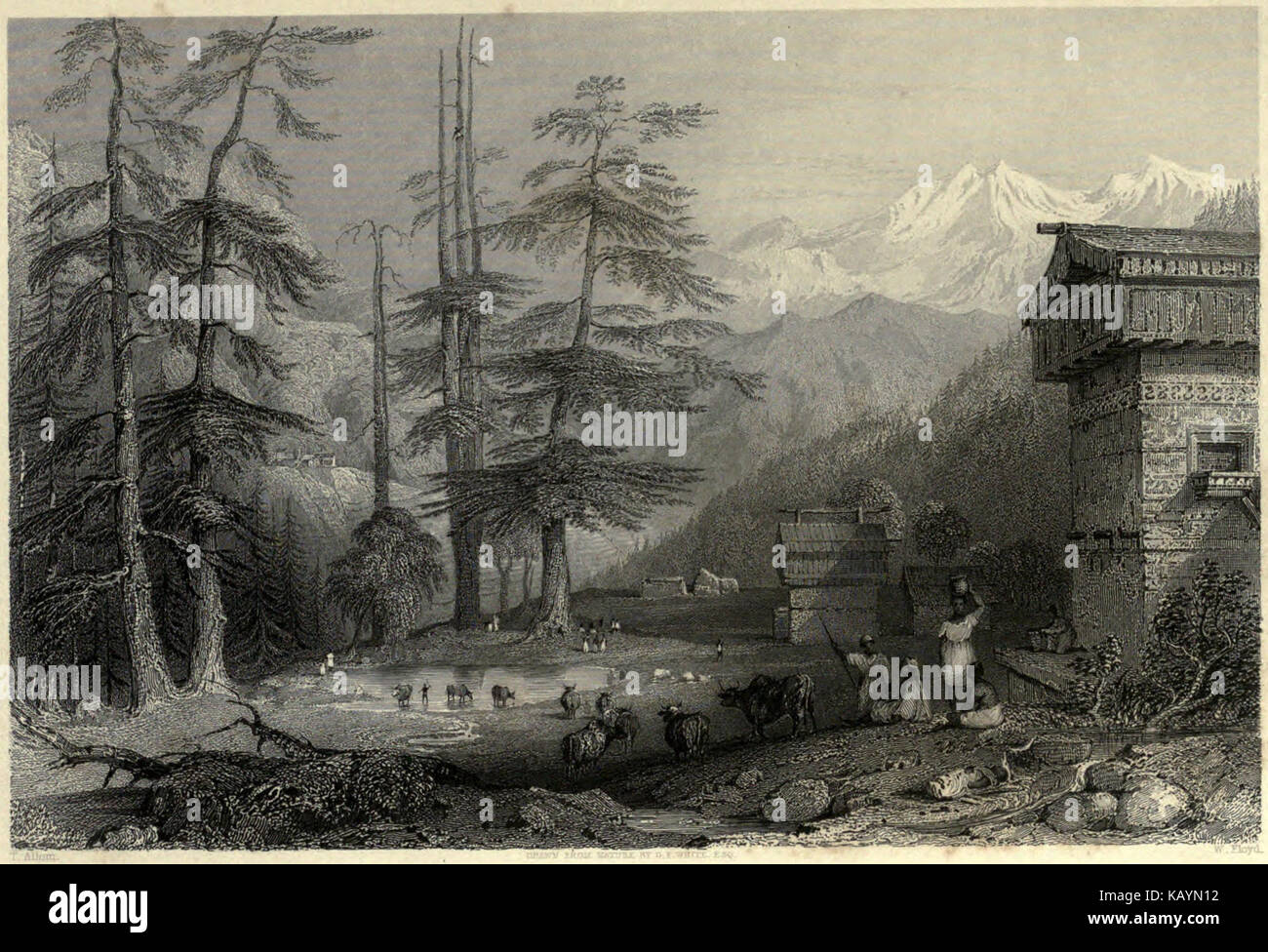 Views in India 0129a Stock Photo - Alamy