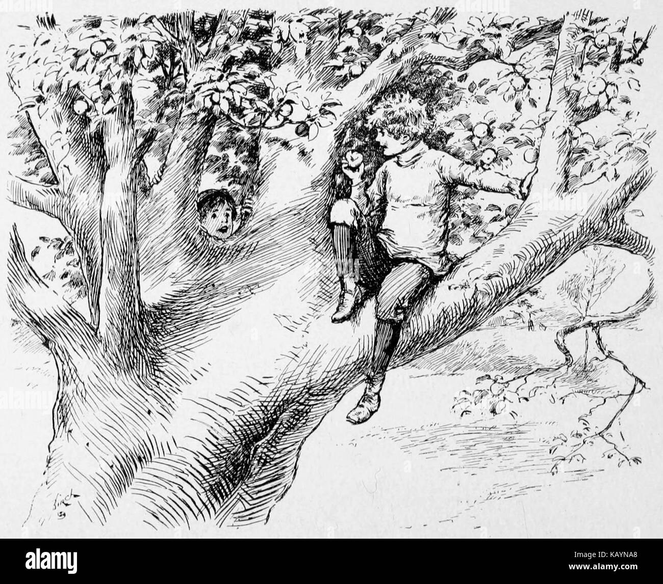 Nesbit book hi-res stock photography and images - Alamy