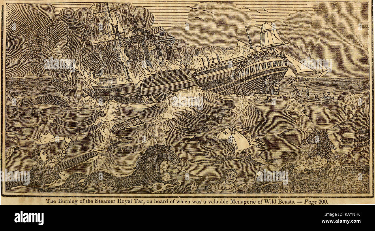 A historical image of the wreck of the Royal Tar, a steamboat that sank ...