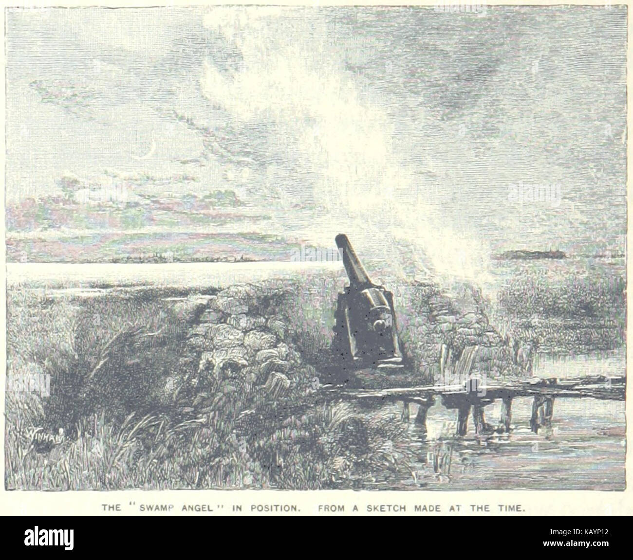 Swamp angel hi-res stock photography and images - Alamy