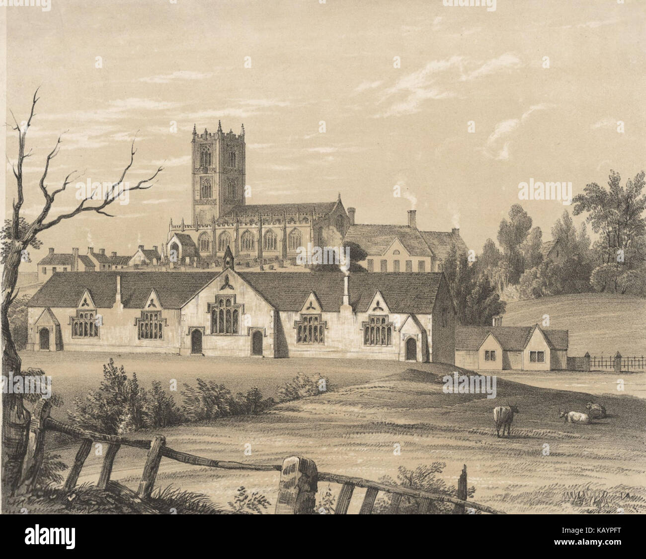 A photograph of Mold Church and the surrounding national schools ...