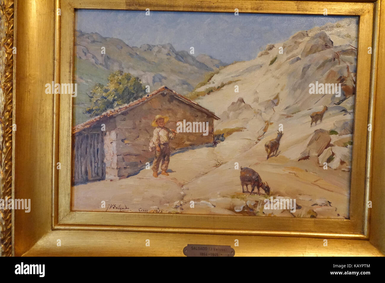 Veloso Salgado in Museu Nogueira da Silva Stock Photo - Alamy