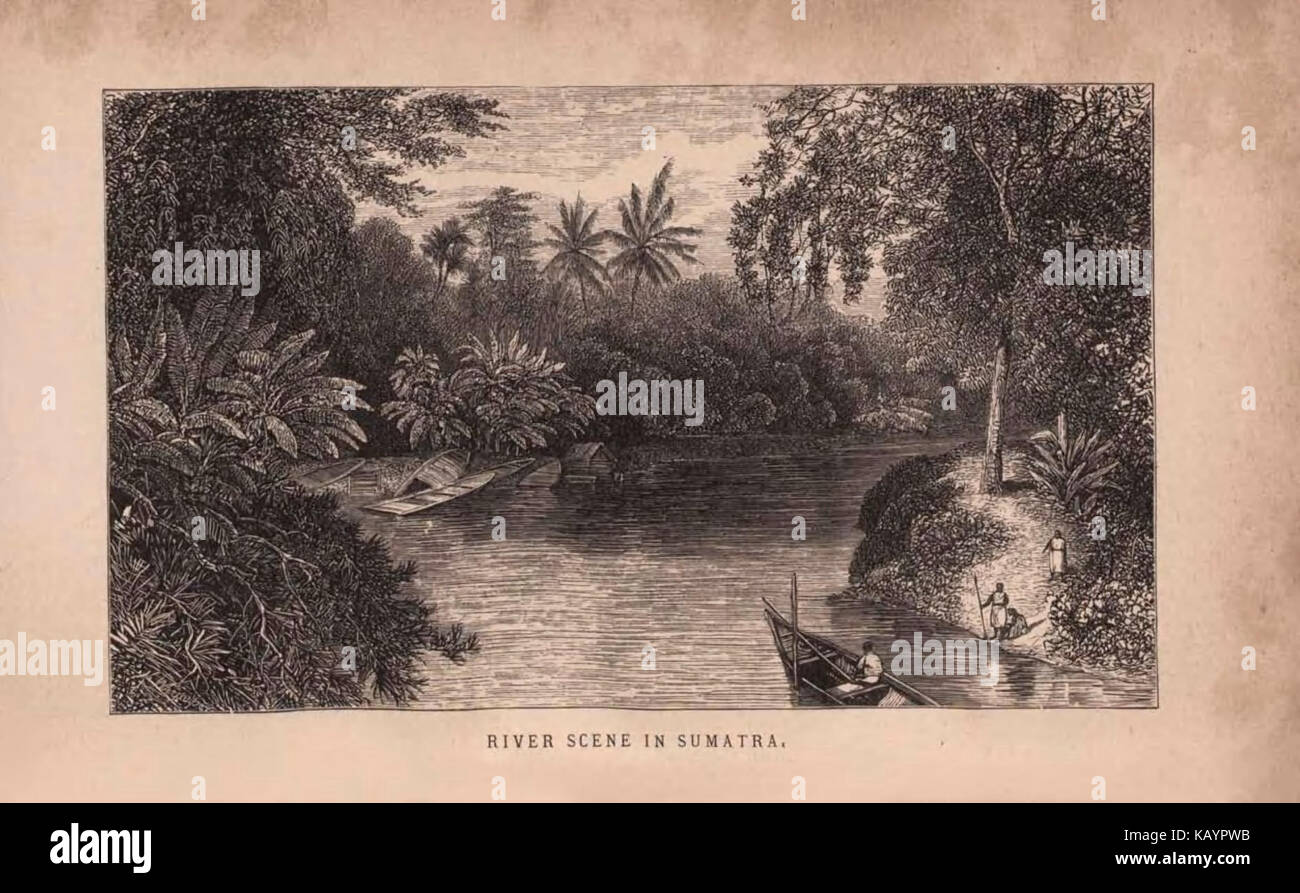 This work, 'Travels in the East Indian Archipelago,' describes the ...