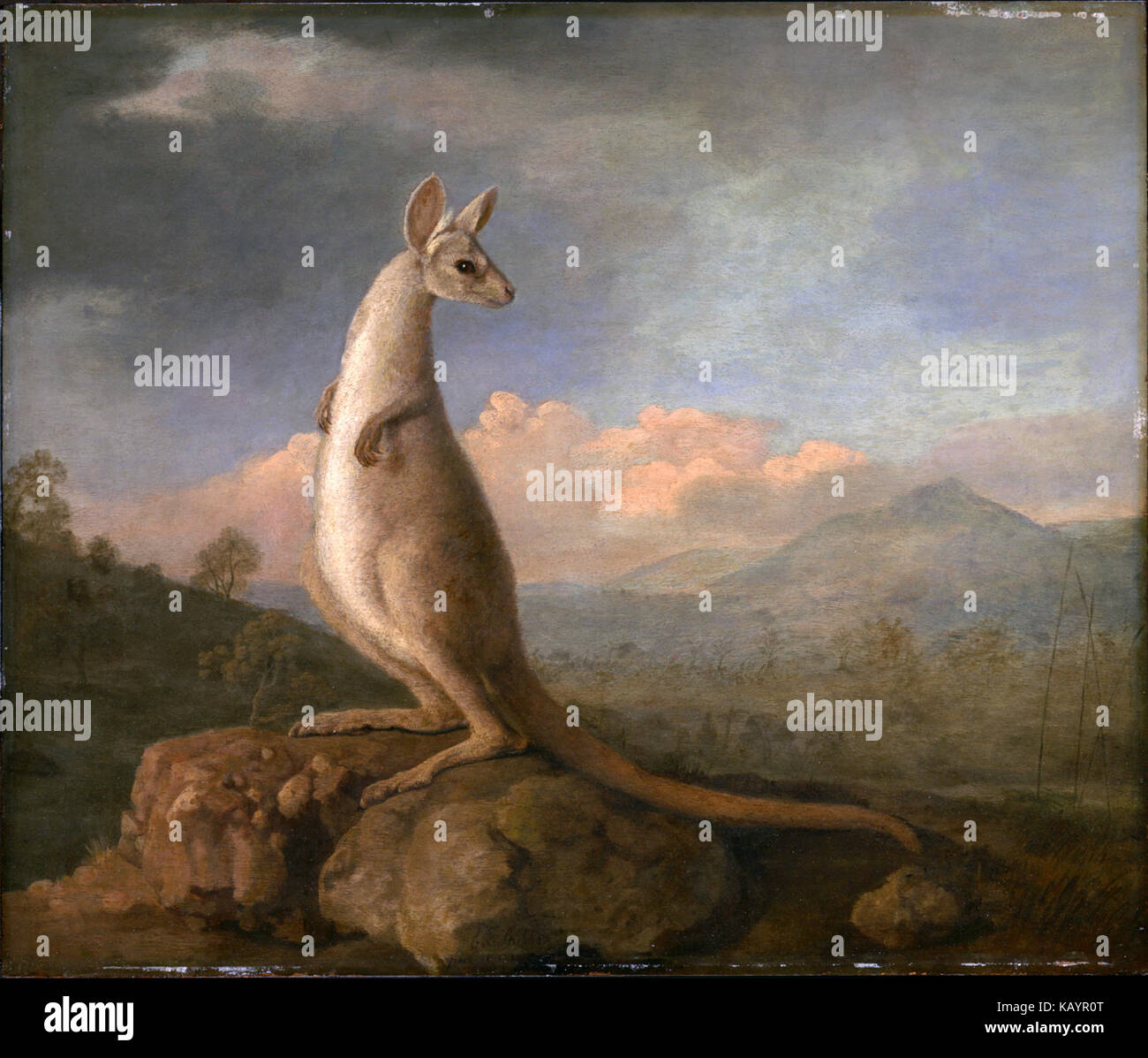 Kangaroo Painting This Giant Kangaroo From 50,000 Years Ago Isn't Even