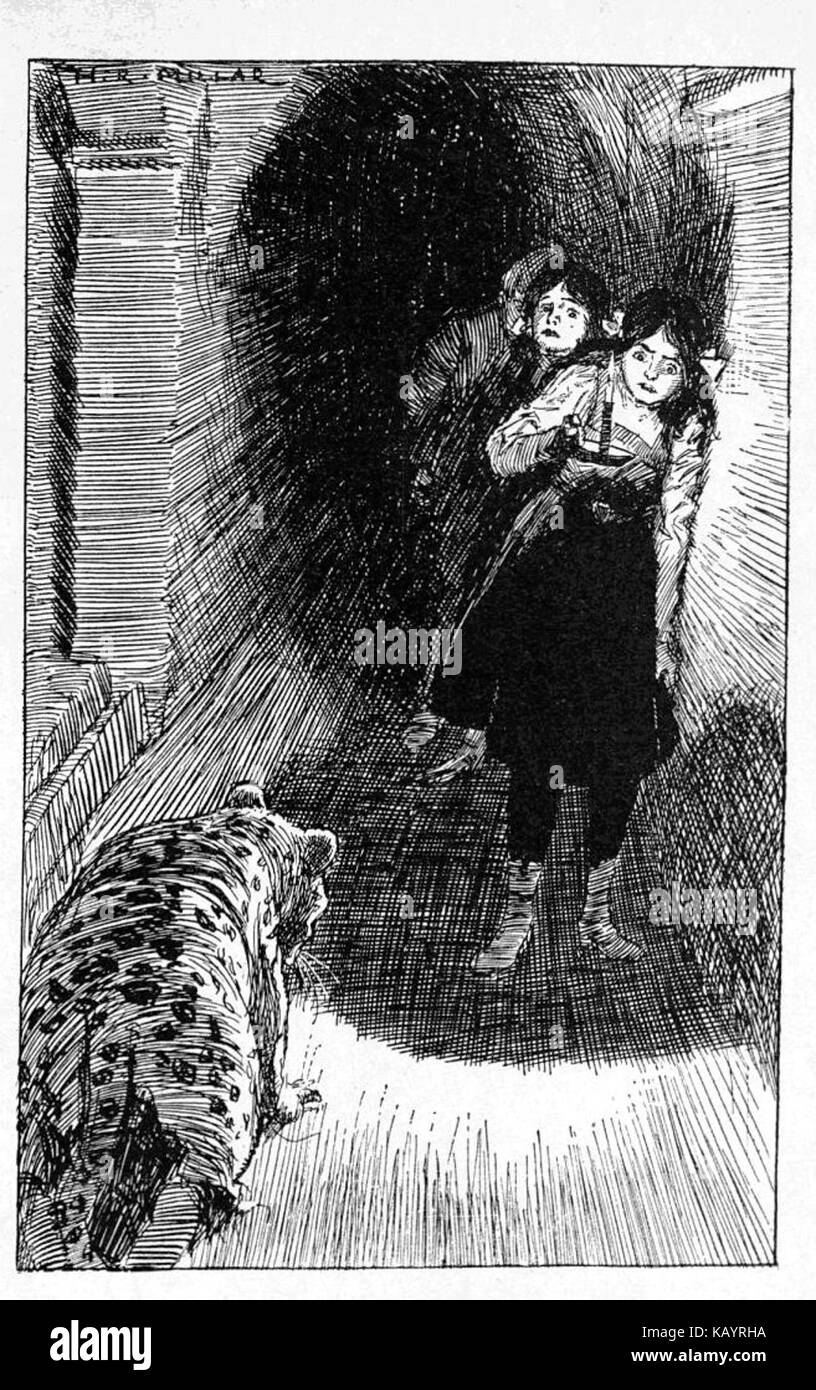 Wonderful book Black and White Stock Photos & Images - Alamy