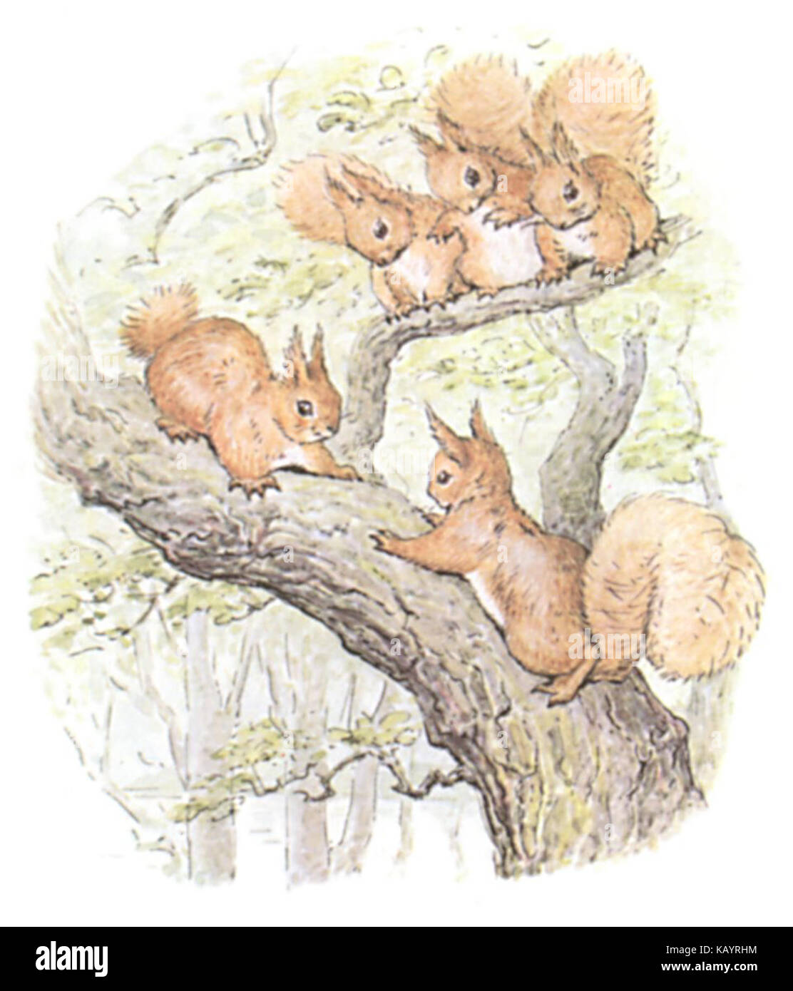 The Tail of Squirrel Nutkin page 58 Stock Photo - Alamy