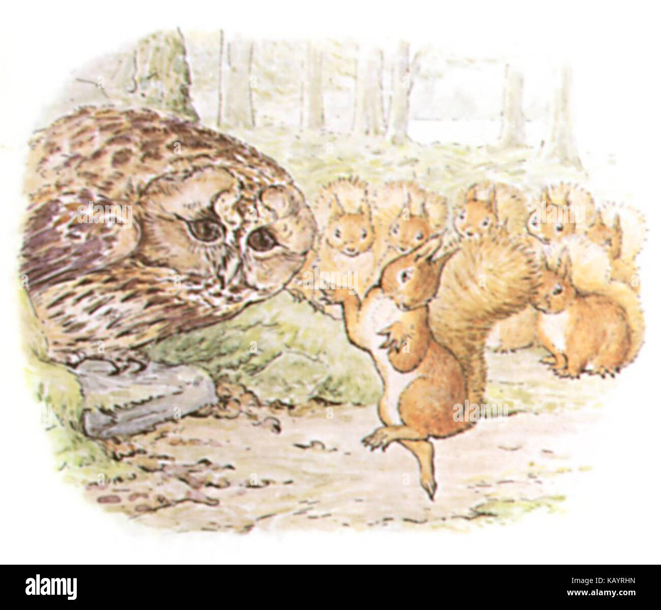 The Tail of Squirrel Nutkin page 48 Stock Photo - Alamy