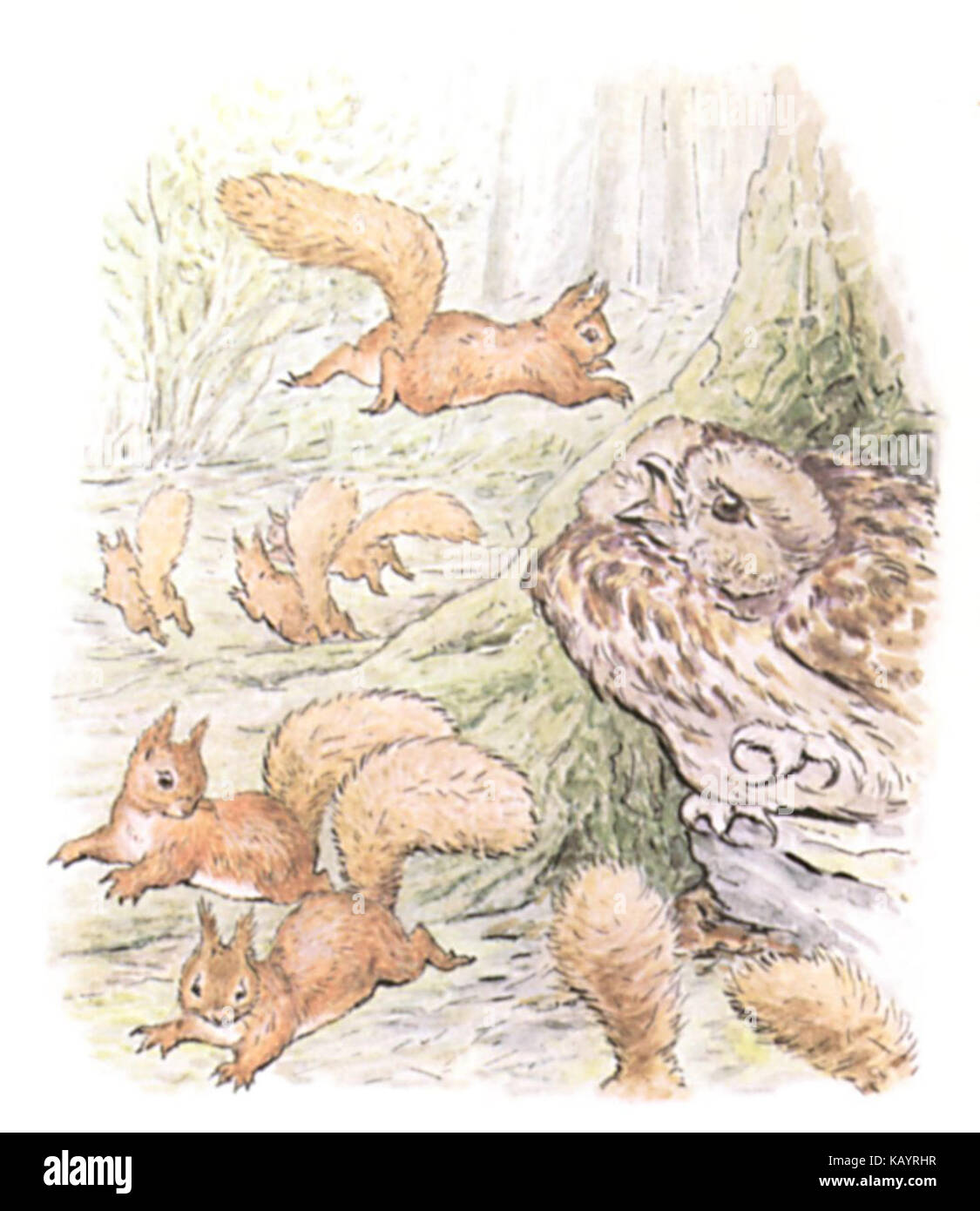 The Tail of Squirrel Nutkin page 51 Stock Photo - Alamy