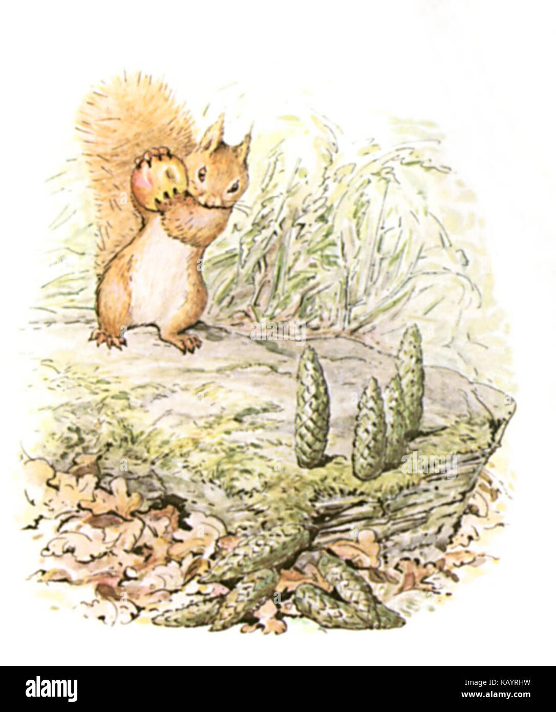 The Tail of Squirrel Nutkin page 43 Stock Photo - Alamy