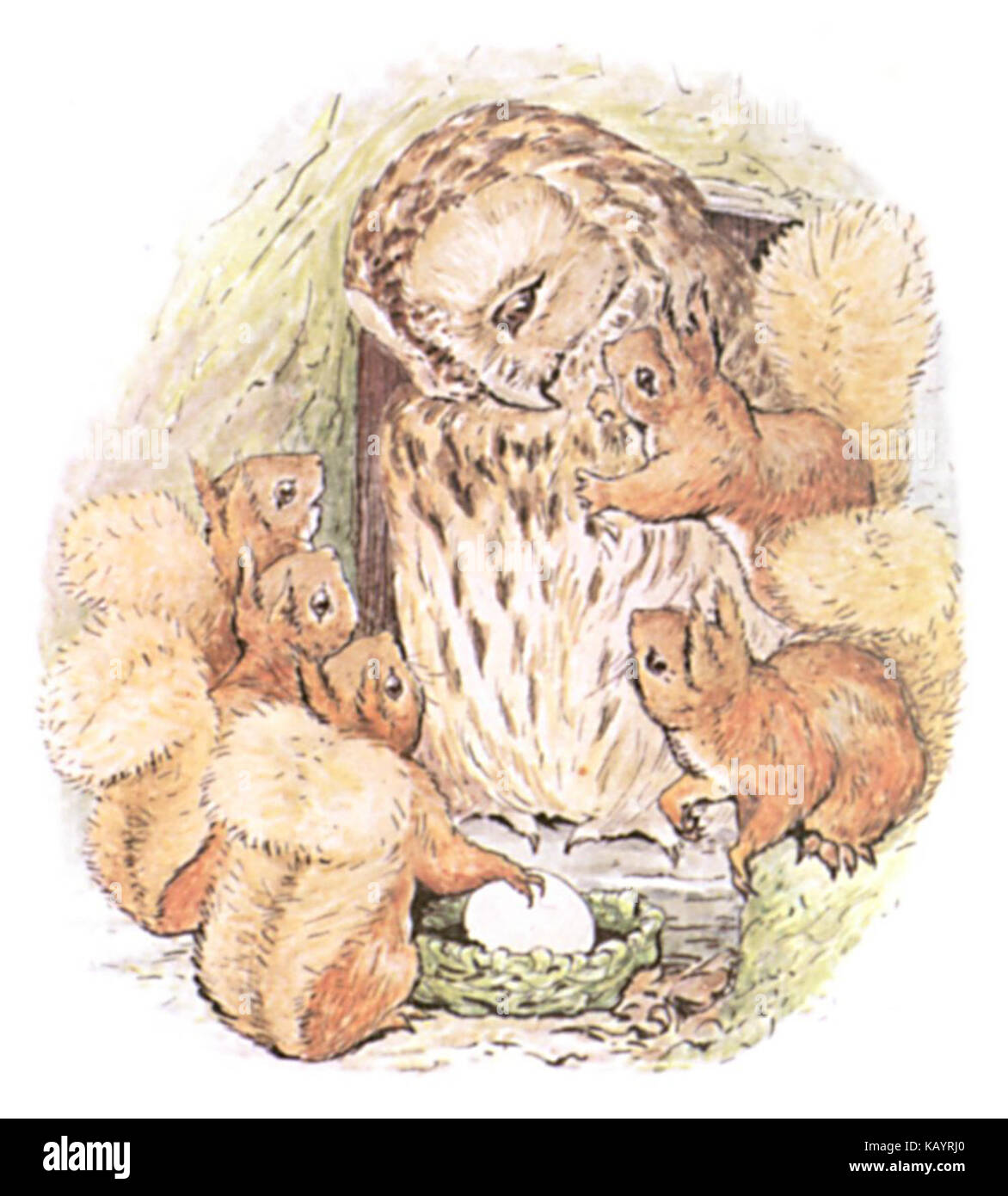 The Tail of Squirrel Nutkin page 47 Stock Photo - Alamy