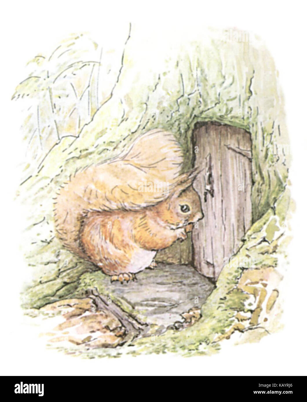 The Tail of Squirrel Nutkin page 27 Stock Photo - Alamy