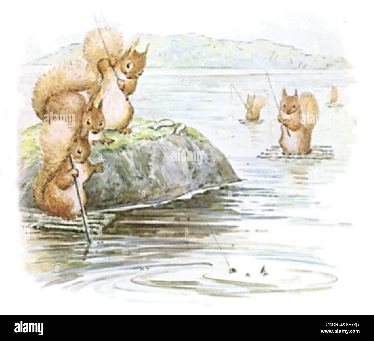 Squirrel nutkin illustration hi-res stock photography and images - Alamy