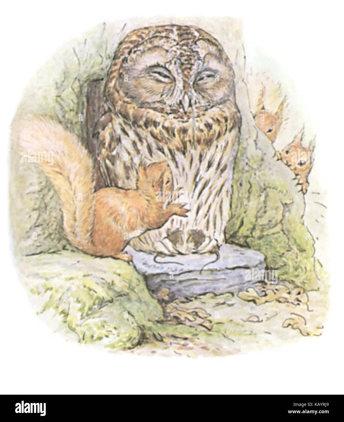 The Tail of Squirrel Nutkin page 19 Stock Photo - Alamy