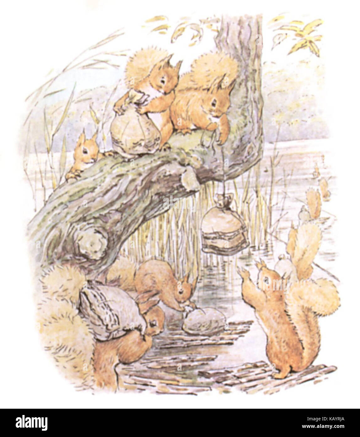 The Tail of Squirrel Nutkin page 20 Stock Photo - Alamy