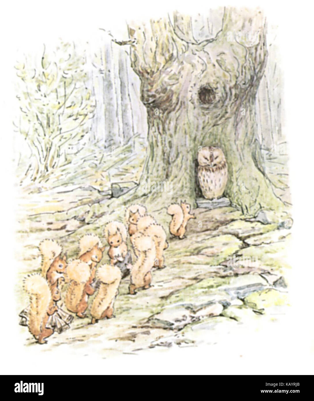 Squirrel nutkin illustration hi-res stock photography and images - Alamy