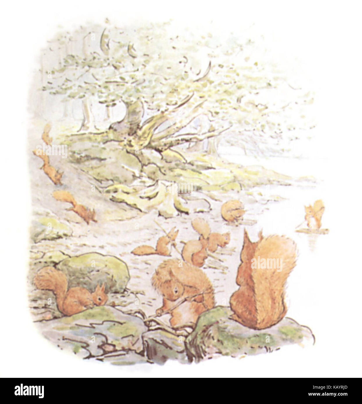 Squirrel nutkin illustration hi-res stock photography and images - Alamy