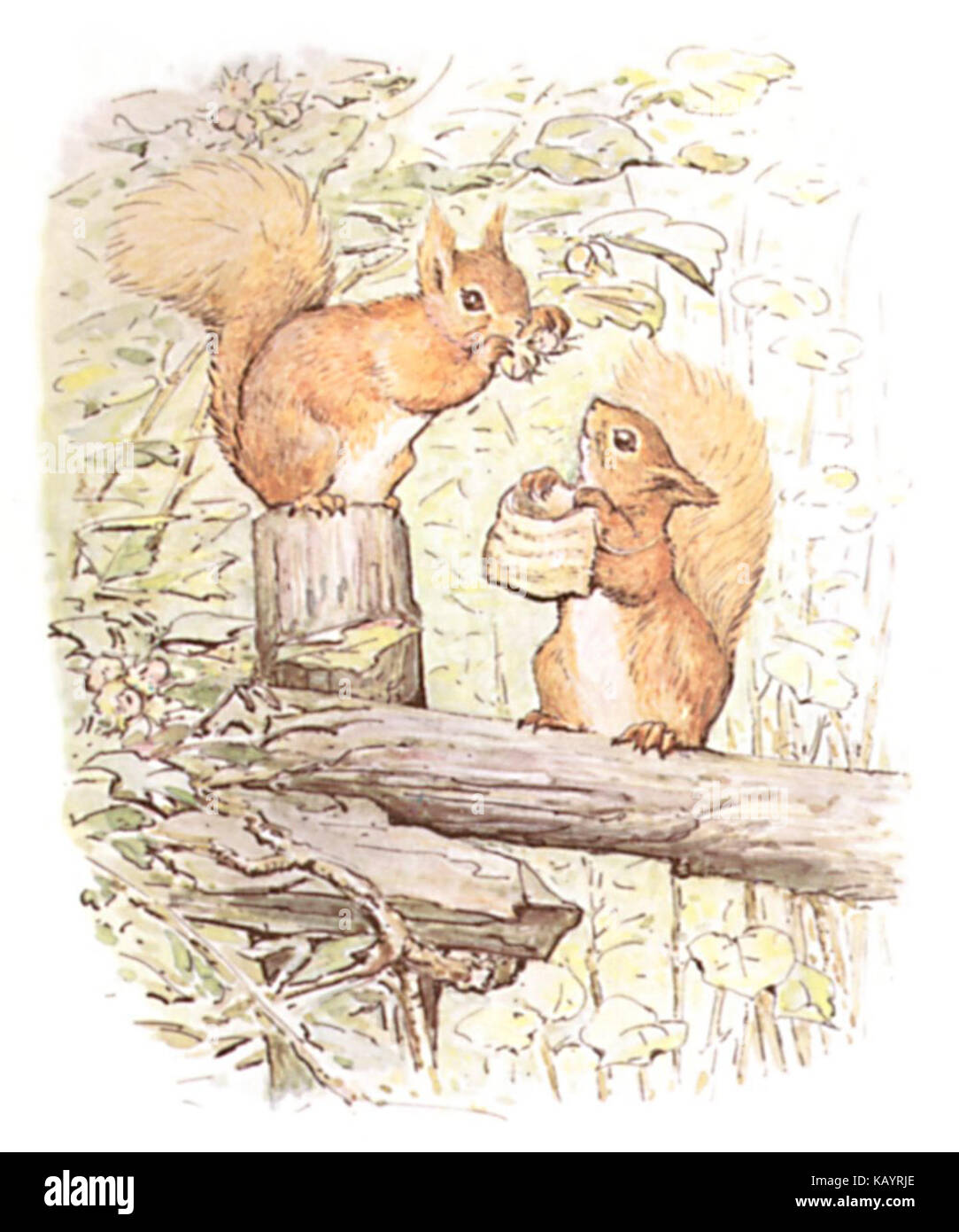 The Tail of Squirrel Nutkin page 4 Stock Photo - Alamy