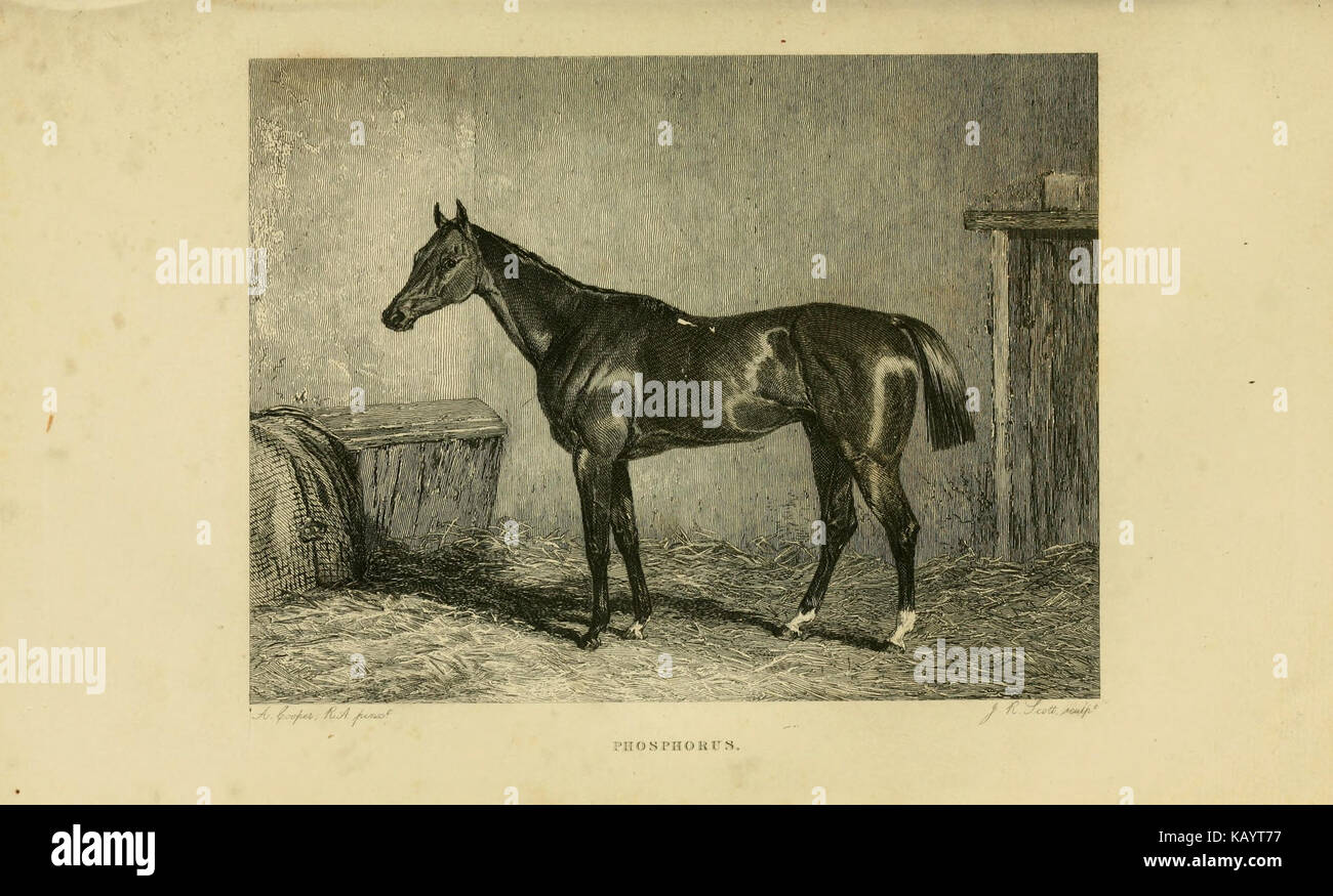 Pictorial collection hi-res stock photography and images - Alamy