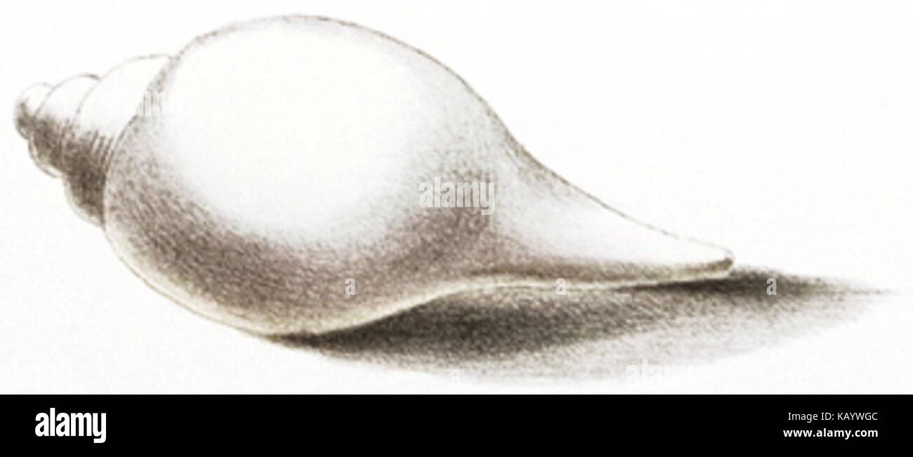 Sundhya hi-res stock photography and images - Alamy