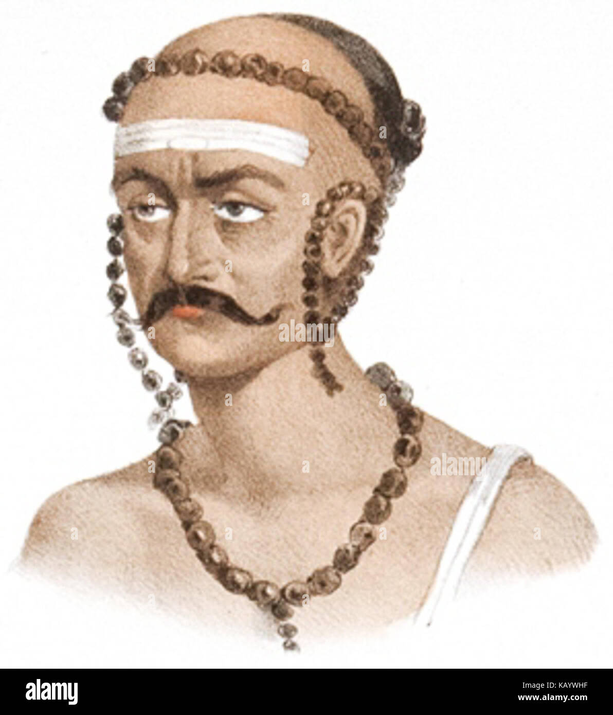 24 1 fig hi-res stock photography and images - Alamy