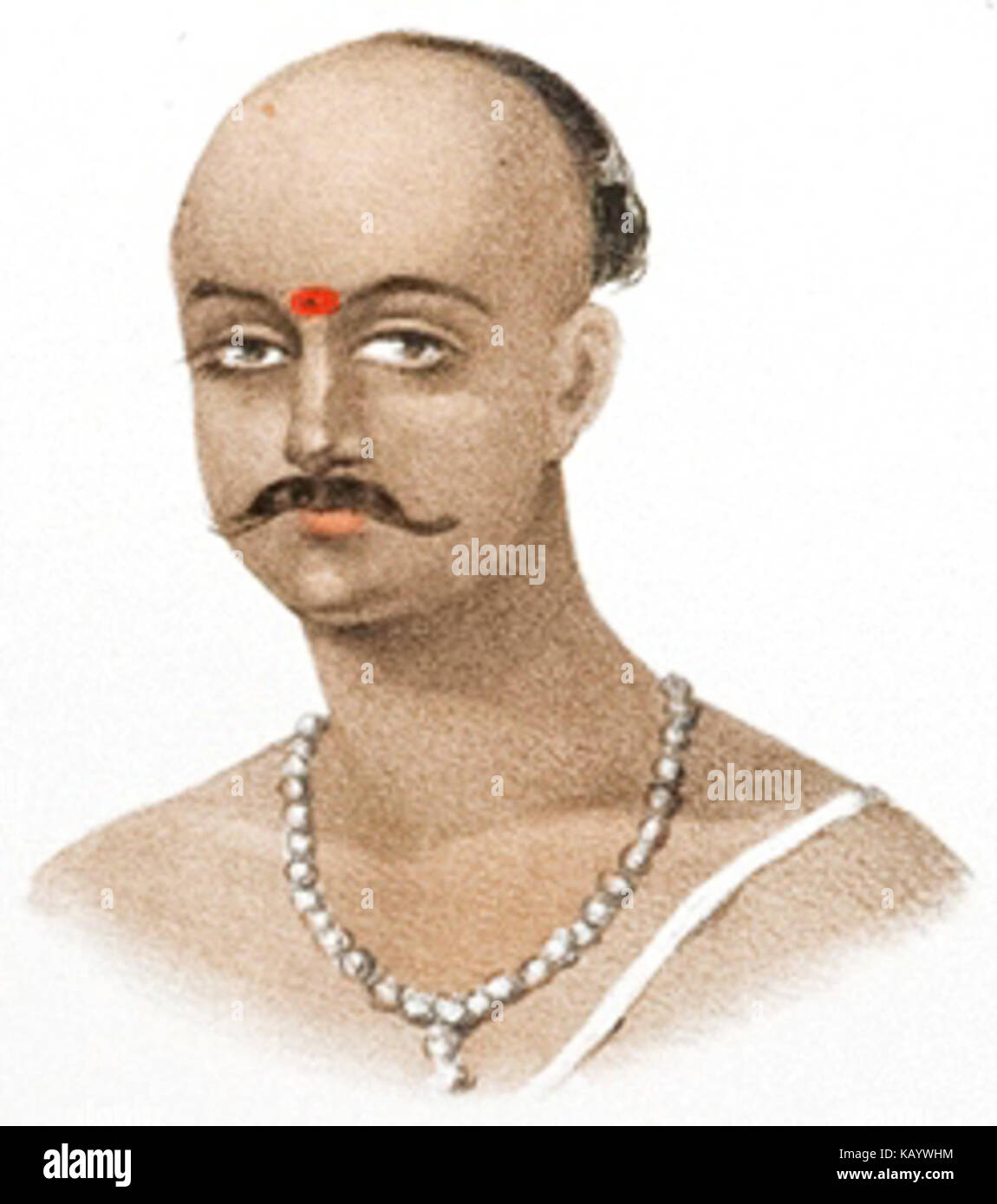 The Sundhya Plate 24 Fig 5 is a scientific illustration, likely from a ...