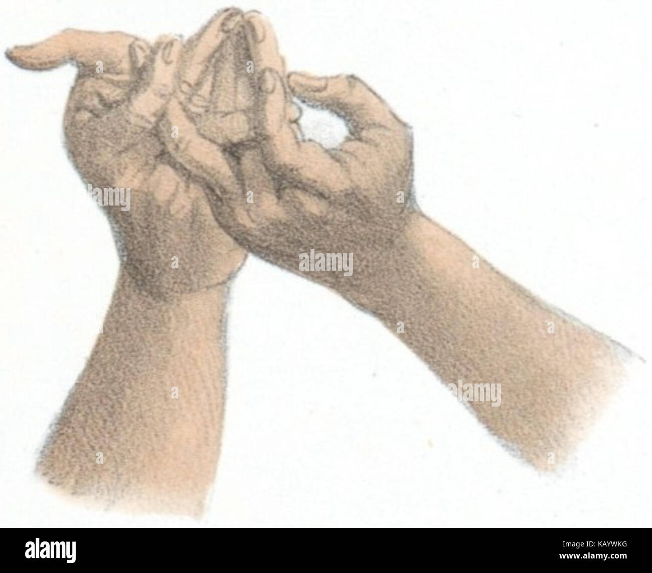 Sundhya hi-res stock photography and images - Alamy
