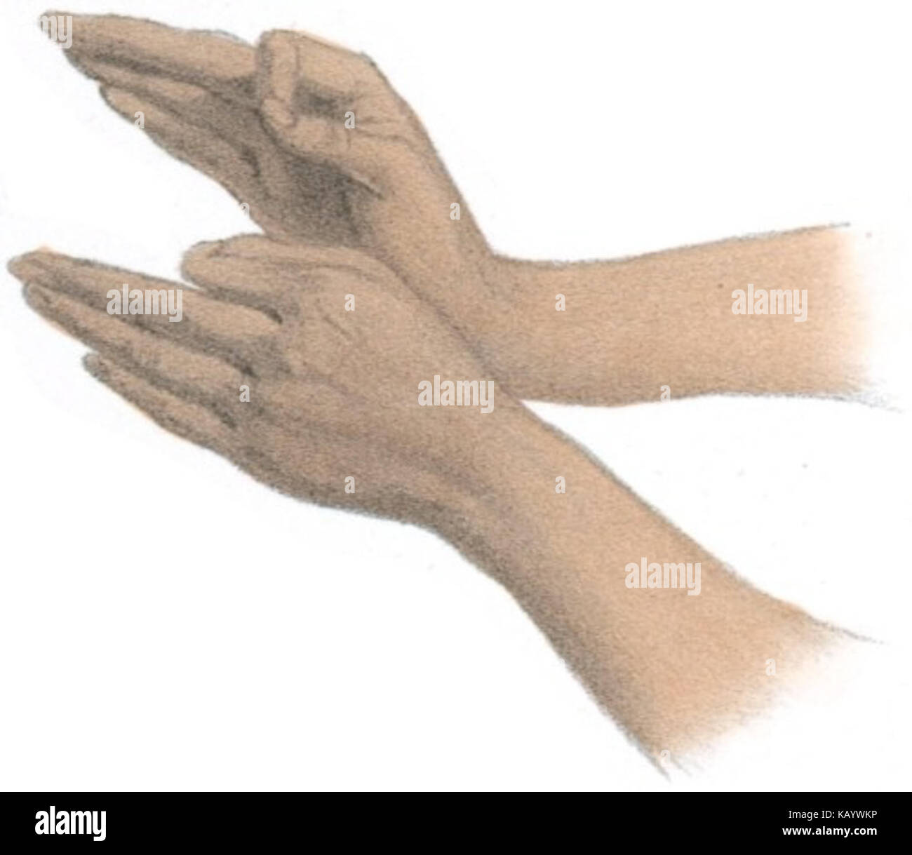 Sundhya hi-res stock photography and images - Alamy