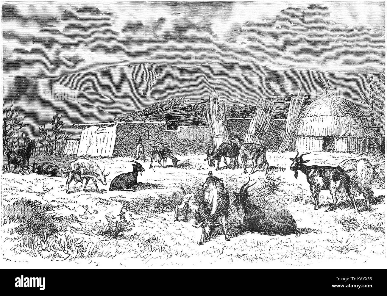 WINTER CAMP IN TURCOMANIA Stock Photo - Alamy