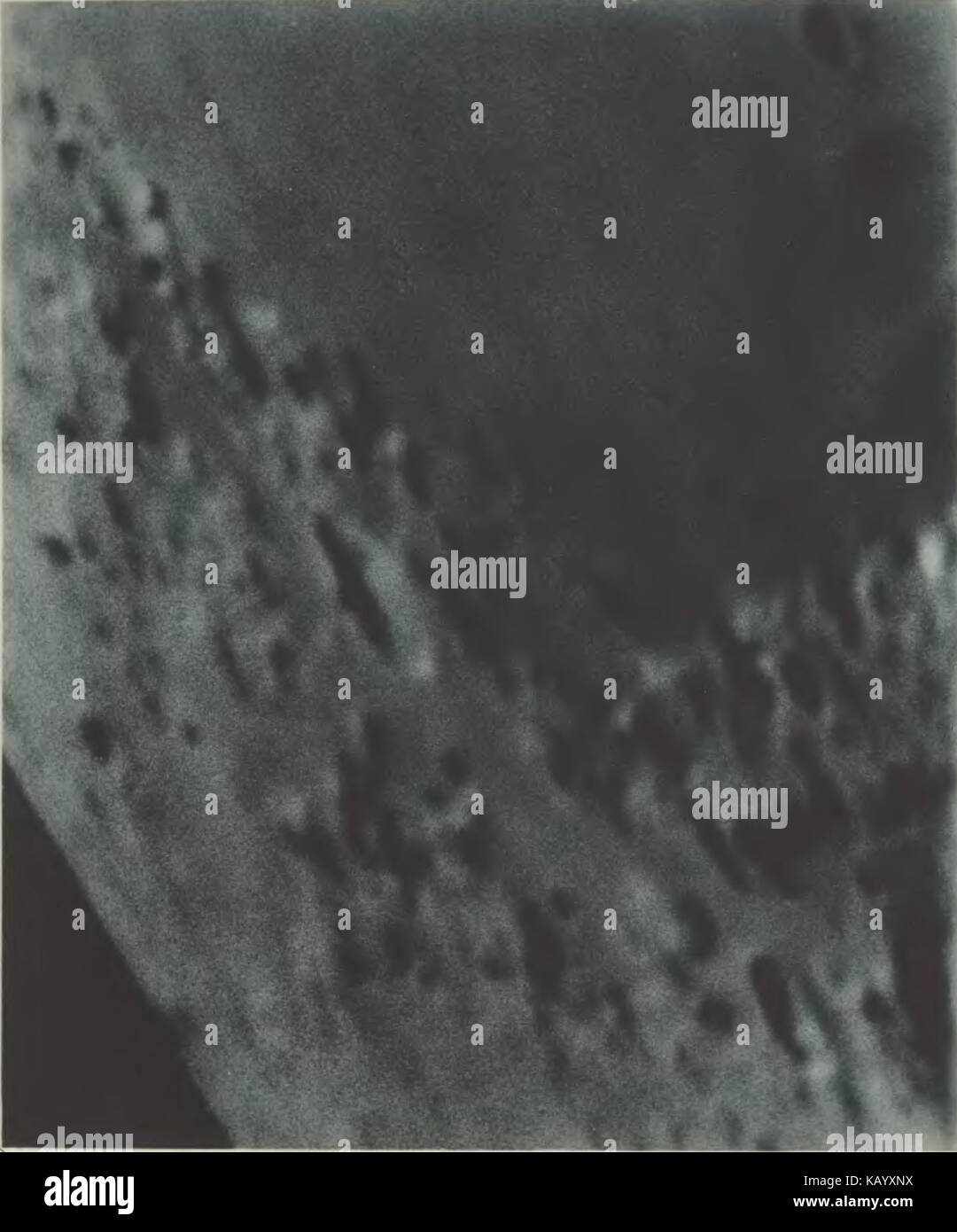 This image is from the *Weinek Mond Atlas*, a historical lunar atlas ...