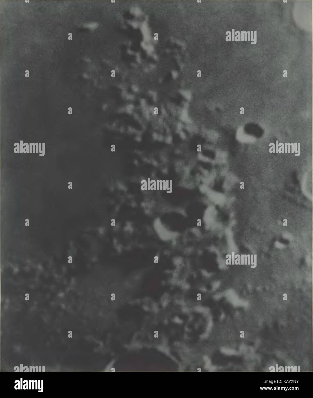 This image from the *Weinek Moon Atlas*, T02, showcases a detailed ...